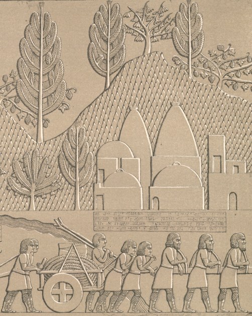 Life at the Margins: Questions in Ancient Near Eastern Social History ...