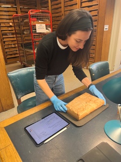 Samantha — Institute for the Study of the Ancient World